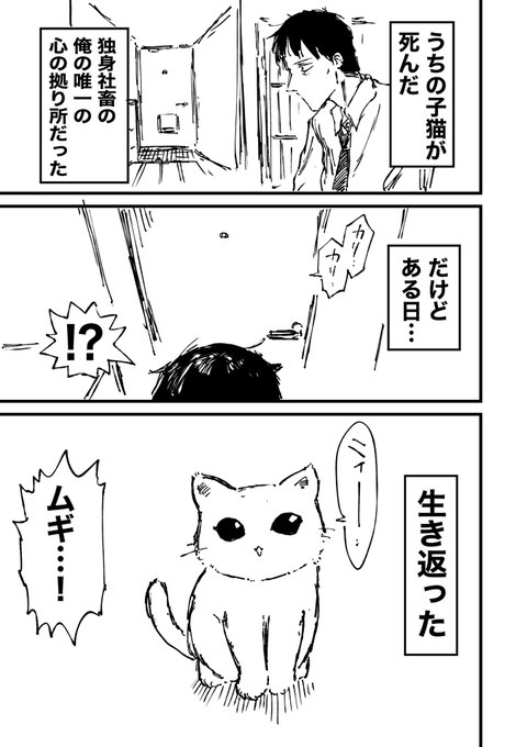 〝ナニカ〟になって生き返った飼猫の話(1 2) 魔木 魔法中年連載中 さんのマンガ ツイコミ 仮