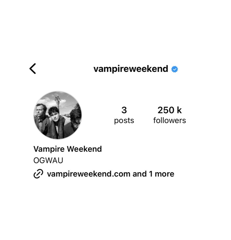 Vampire Weekend Logo Vampire Weekend Logo Premium Laptop Sleeve