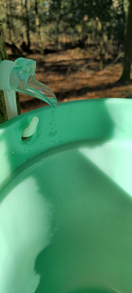 Bob Johnson's Threads – Thread Reader App