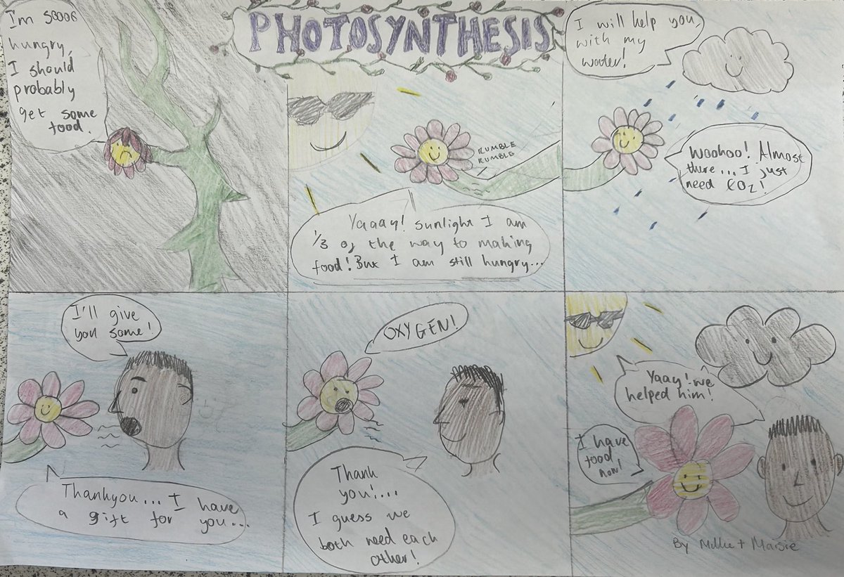 Photosynthesis Comic Strip Assignment