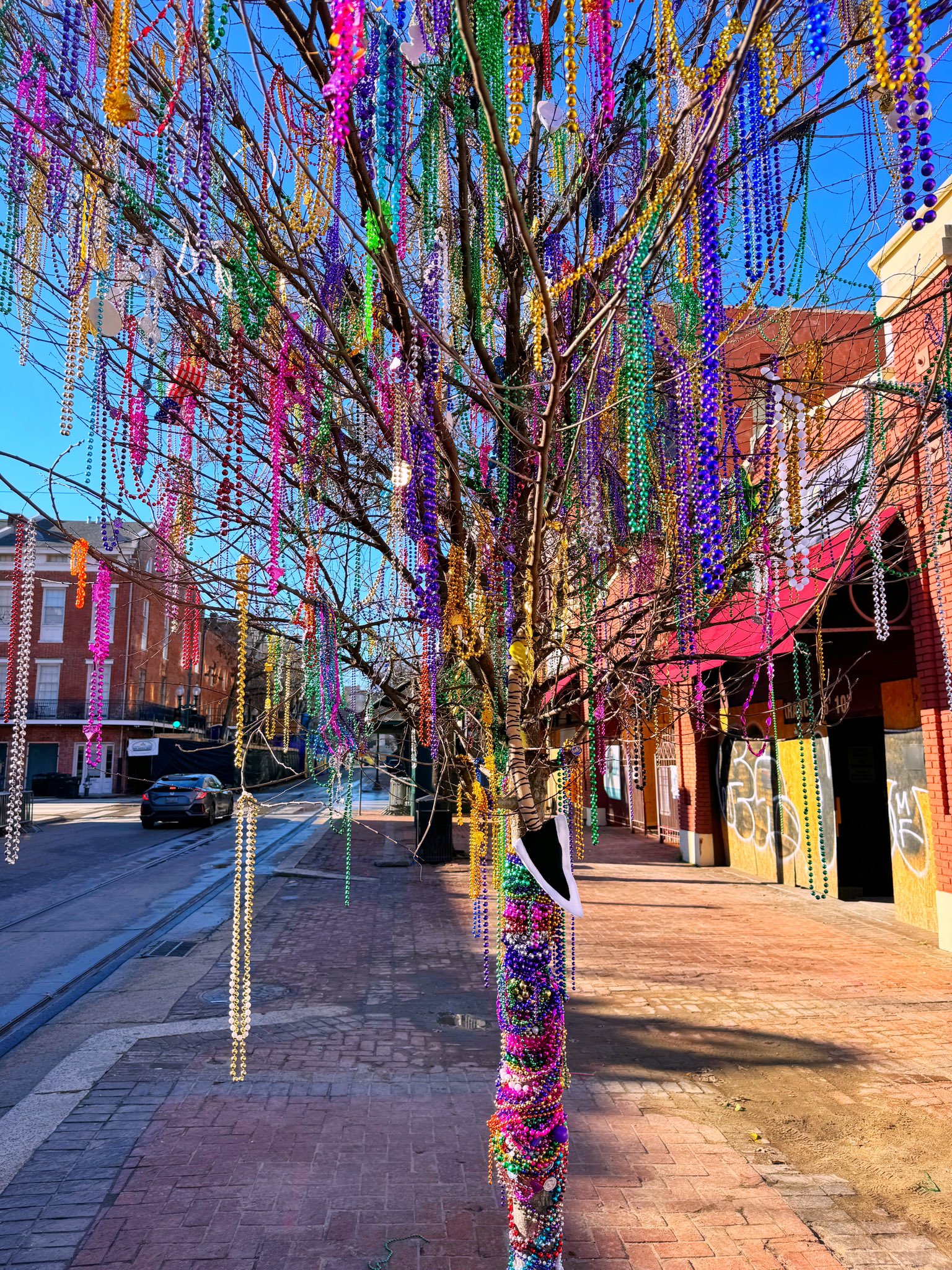 New Orleans Mardi Gras Tree