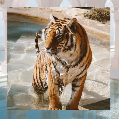 Thread by @Helios_Movement on Thread Reader App – Thread Reader App