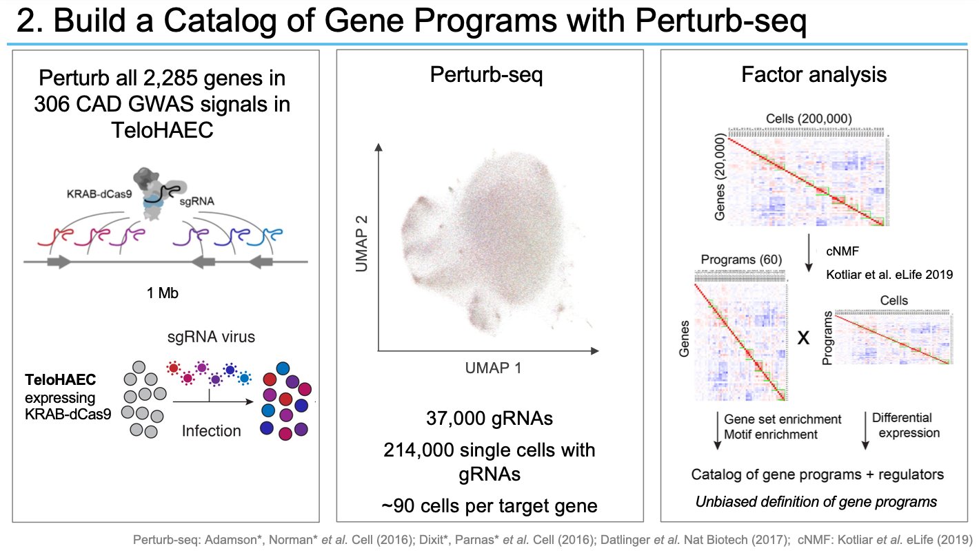 Perturb Seq Database Addgene: PEM040 [Multiome Perturb Seq SgRNA