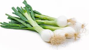 ISHALADI LEZINYOKA [SPRING ONIONS]💚 🐚 It can help to remove bad luck 🐚 ...