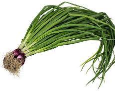 ISHALADI LEZINYOKA [SPRING ONIONS]💚 🐚 It can help to remove bad luck 🐚 ...