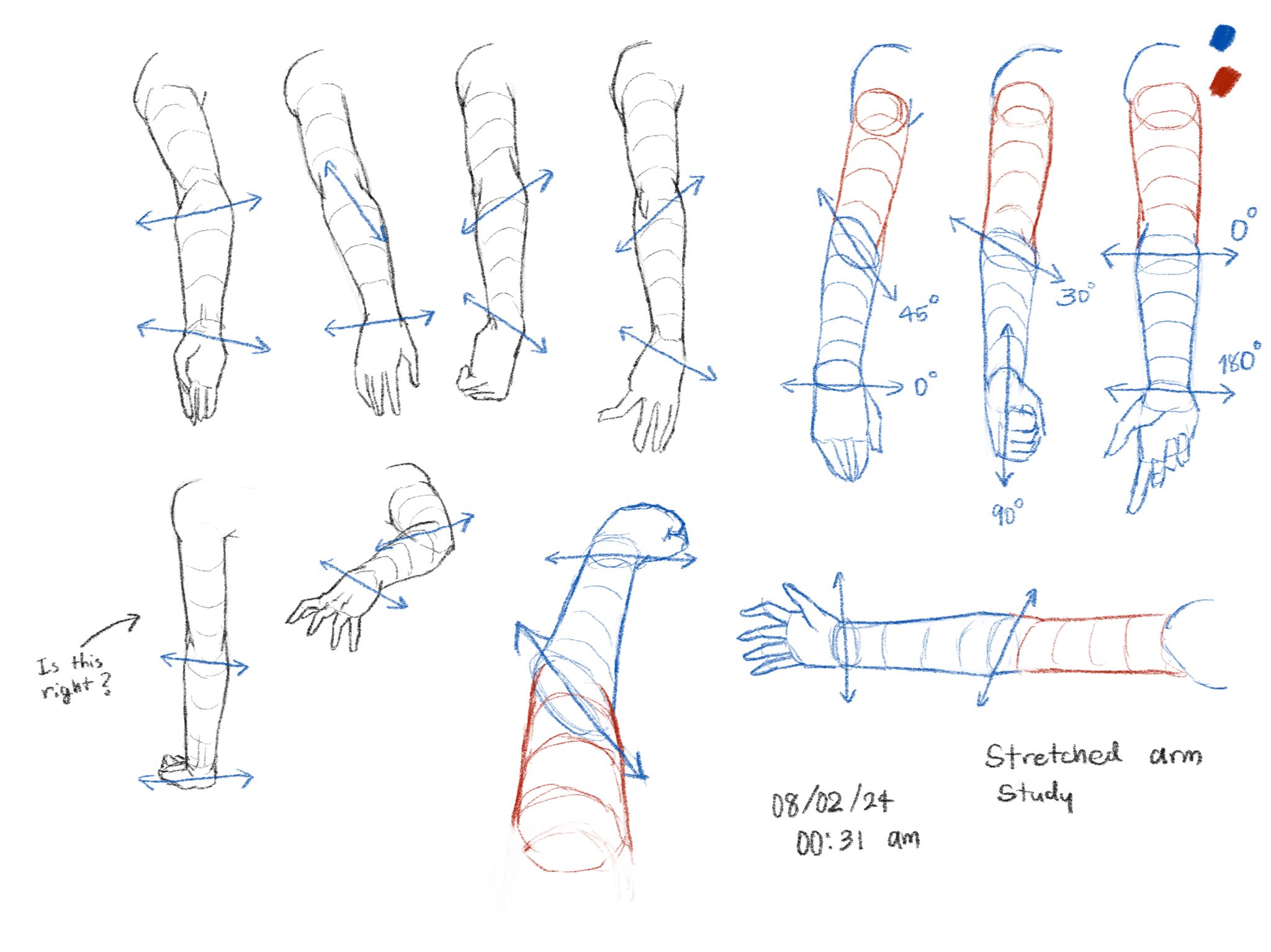 Arm Reference Drawing