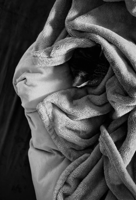 gozz/ごず🏝@gozz_sssのイラスト一覧