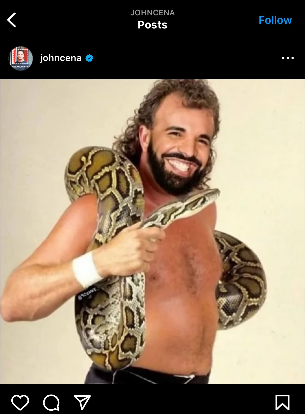 Snake Family Memes 🥉 Pipkin Pippa 🔌🐰 Phase Connect On X: "FOR