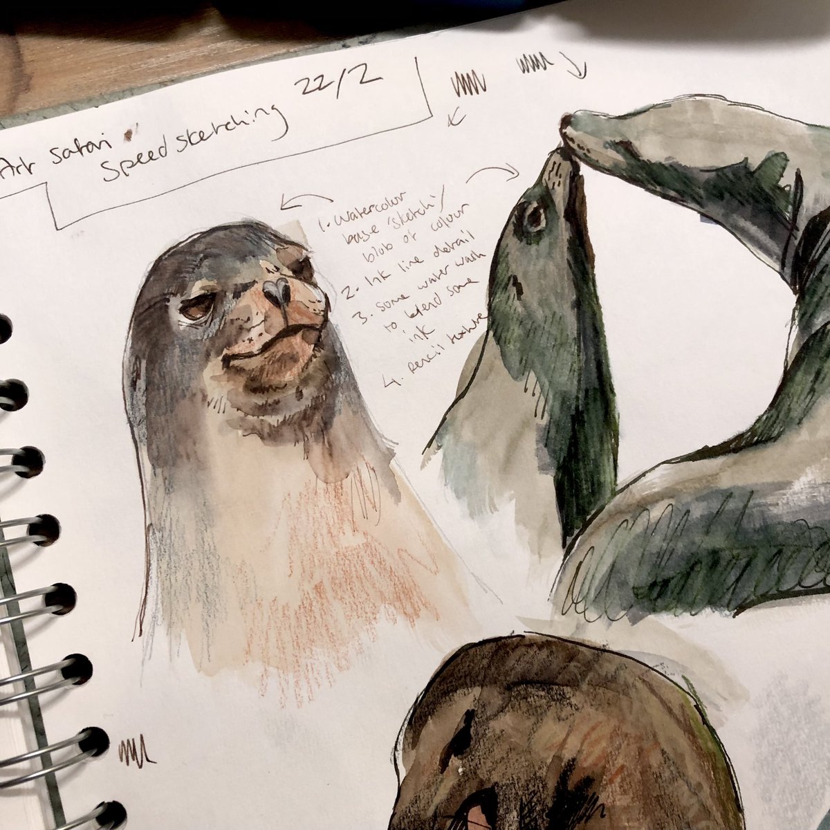 「the blob animals of all time 」Finchの漫画