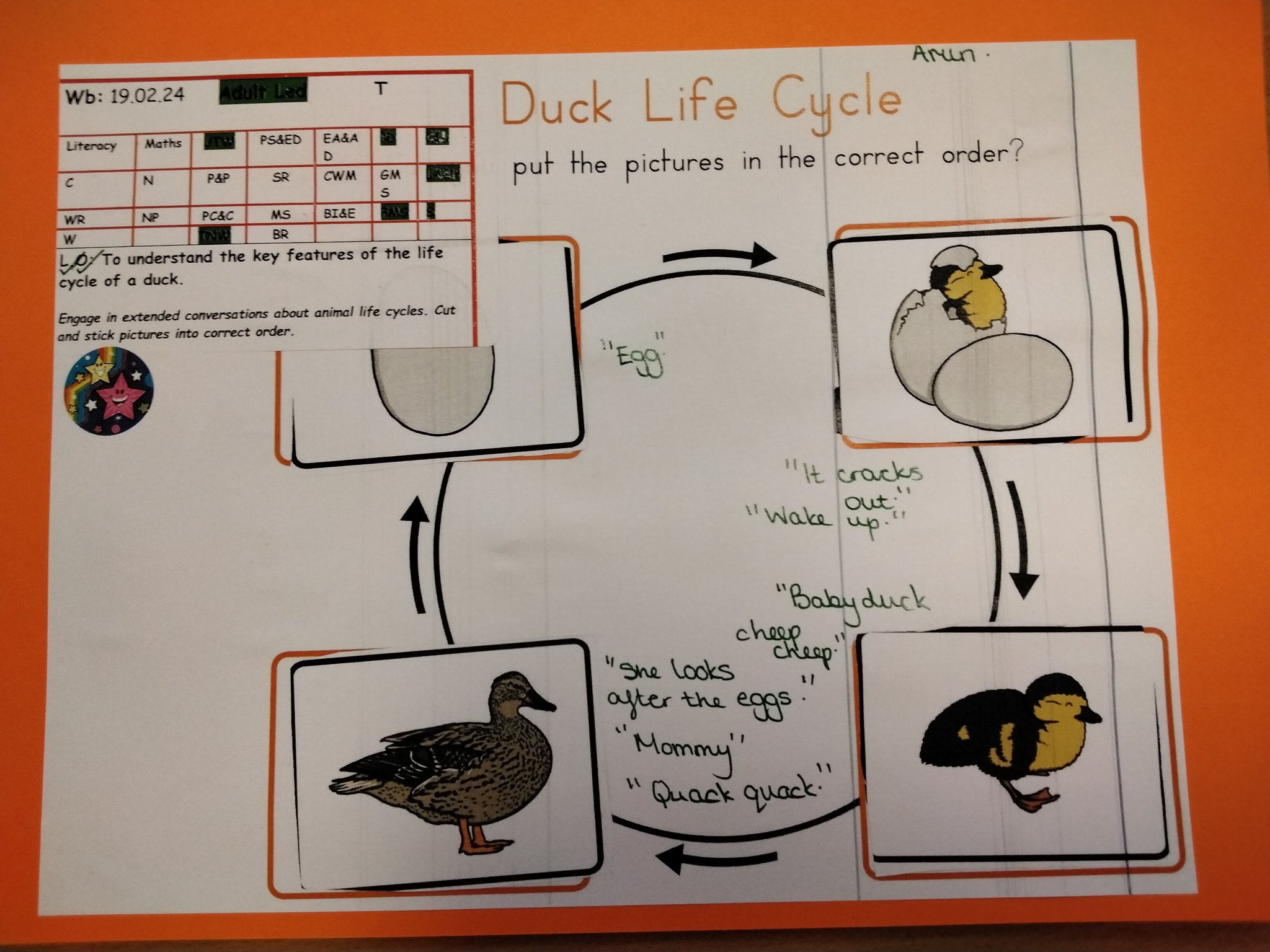 Duck Life Cycle Duck Life Cycle Book Recommendations And Lesson Ideas.