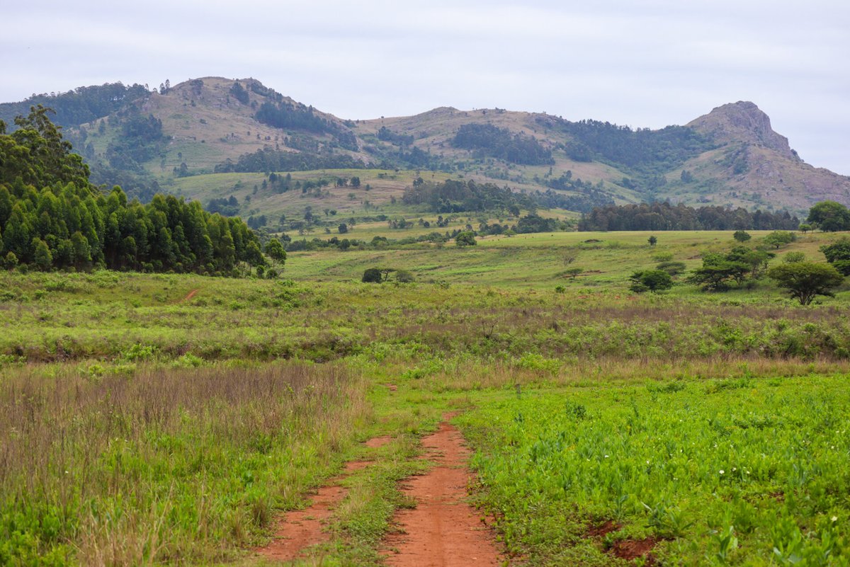 1. KING SOBHUZA'S KINGDOM🇸🇿 King Sobhuza I was born around 1788. He is ...