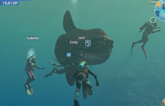 good morning mr sunfish