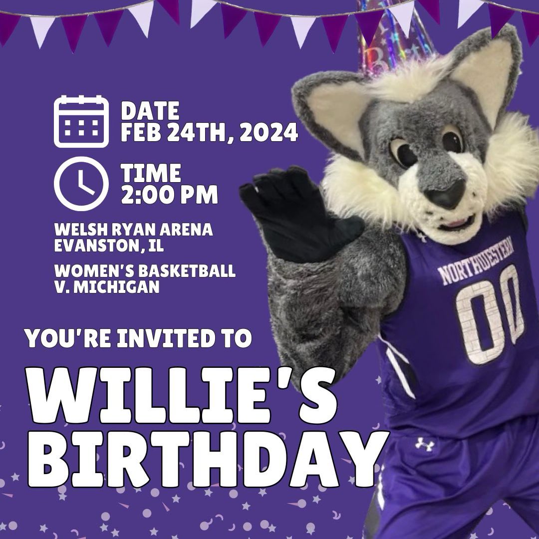 Northwestern University Mascot Name