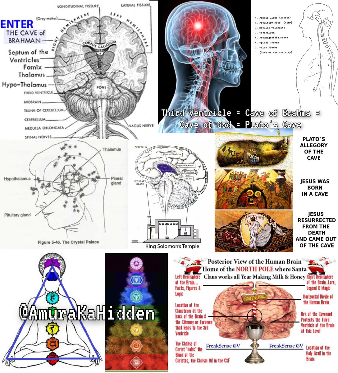The Seven Gates of Dreaming thREAD 🧵 In Toltec Culture, Shamans were ...