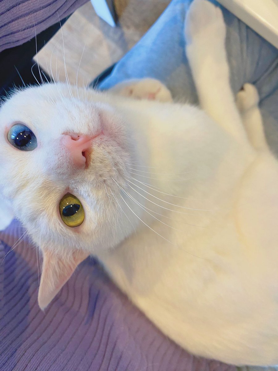 ♨️湯島 ちょこ♨️(@bittersweet_423)さん – 裏垢女子ランキングナビ