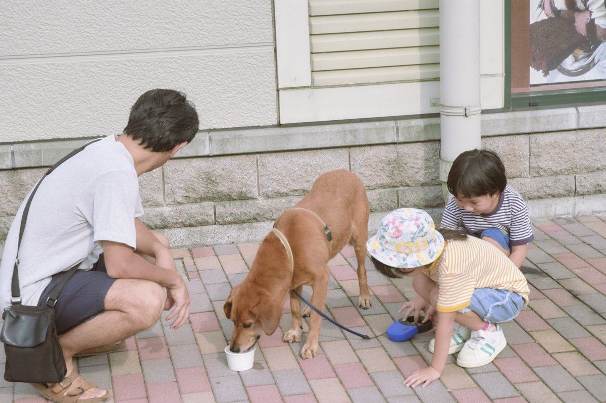 Kentaro Tokumasu(@tmkr) - Twilog