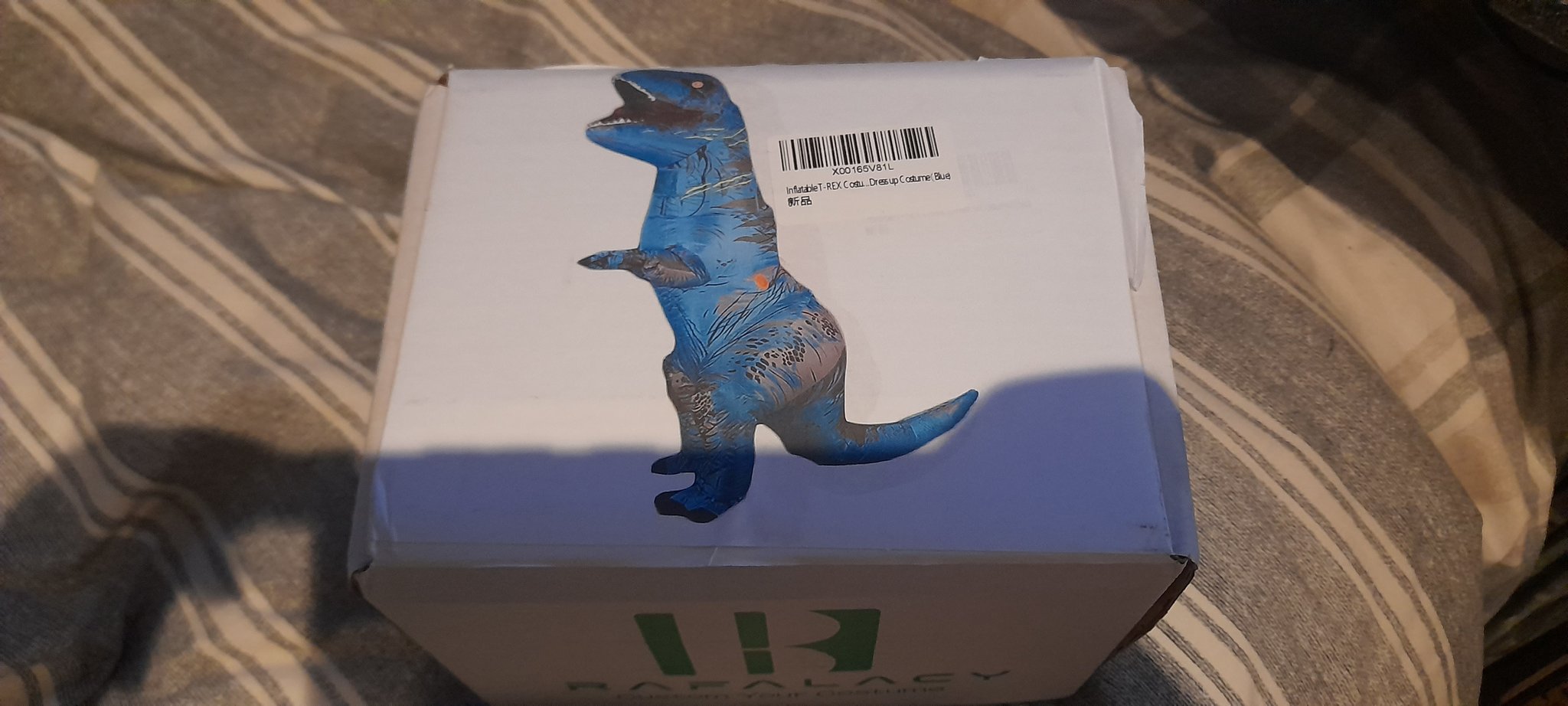 Inflatable T Rex Memes Last Day Of School Shenanagins. One Of My