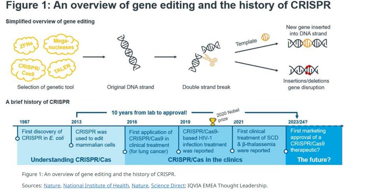 10 breakthroughs in Biotechnology in 2023-24 • CAR-T cell therapy ...
