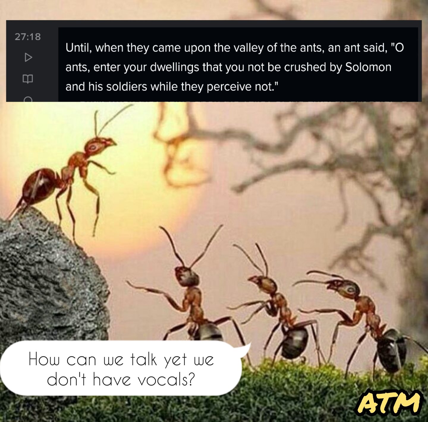 Fire Ants Memes
