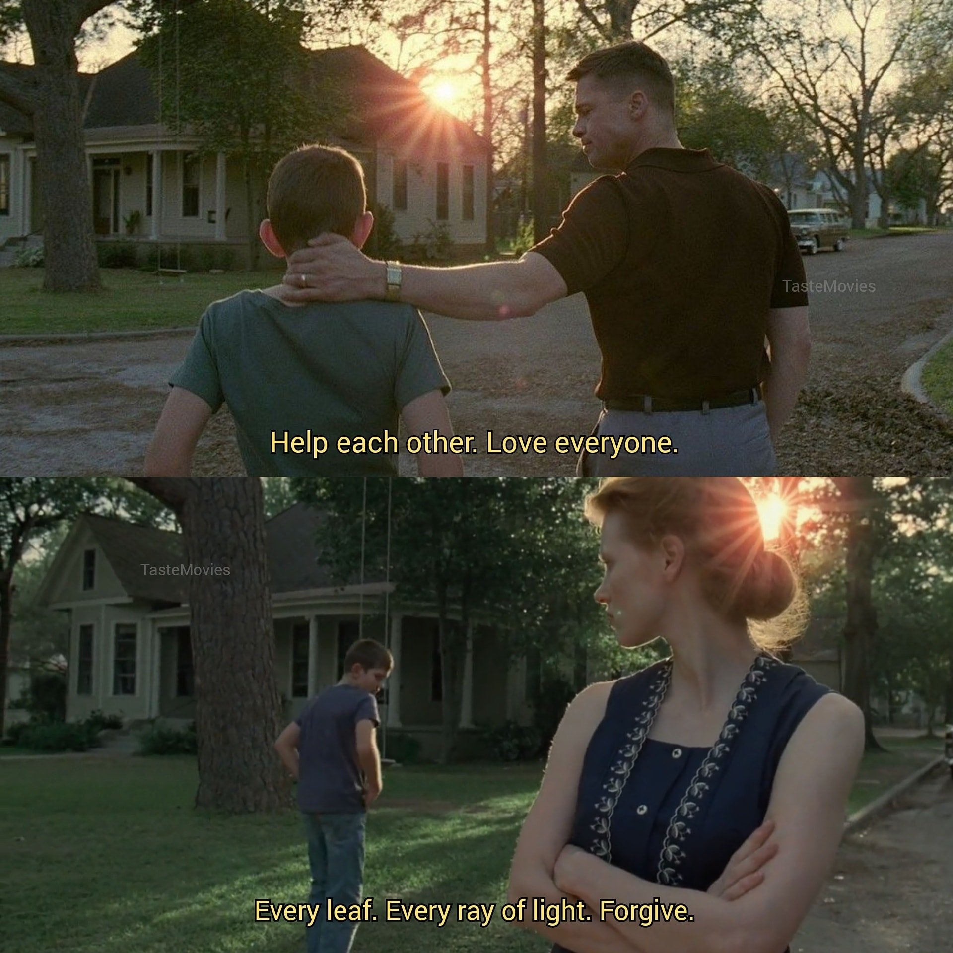 Terrence Malick Memes I Loved Taking Part In This Interview About The