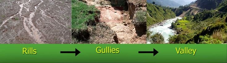 Rill Erosion And Gully Erosion