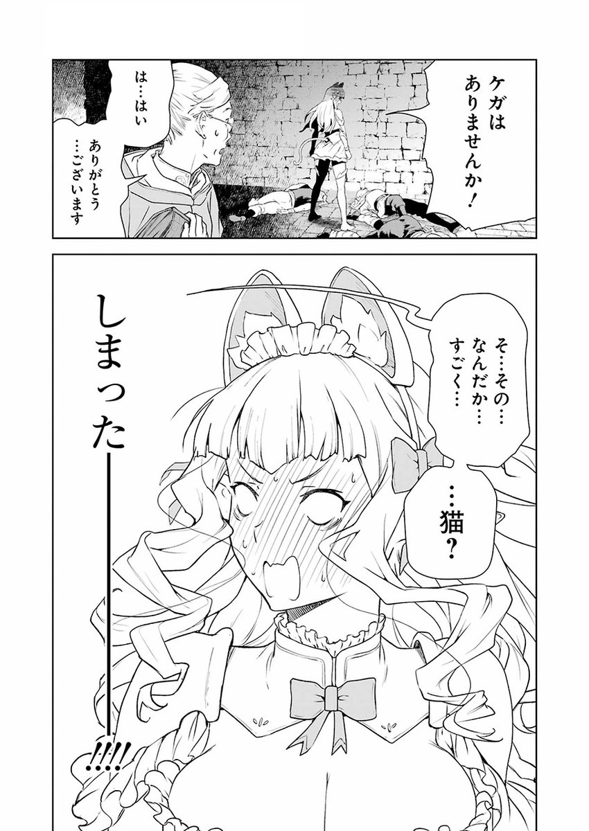 「騎士団長のエルフさんだって乙女がしたい。」 めちゃ強いエルフ隊長が気になっていた鎧をついに着る話
