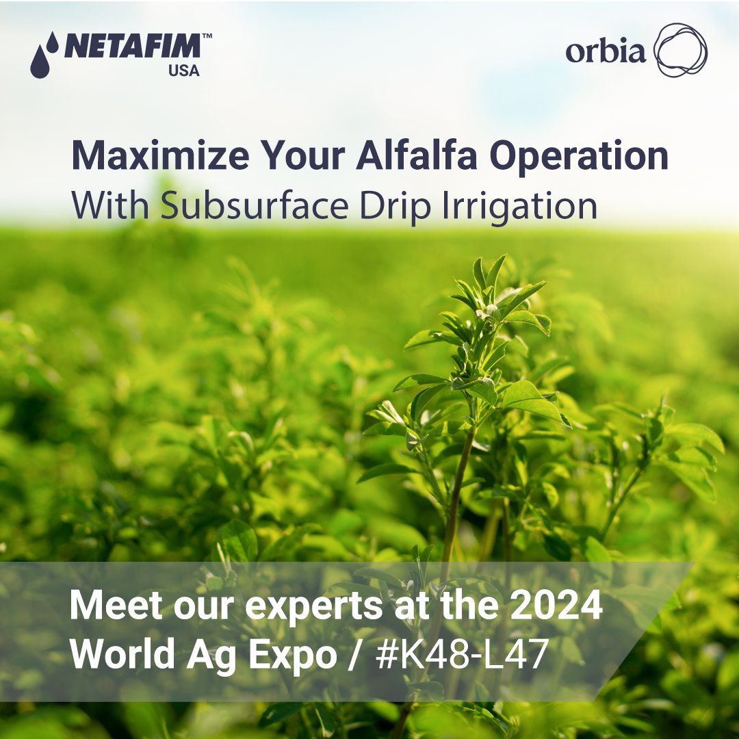 Netafim Subsurface Drip Alfalfa Watering With Subsurface Drip