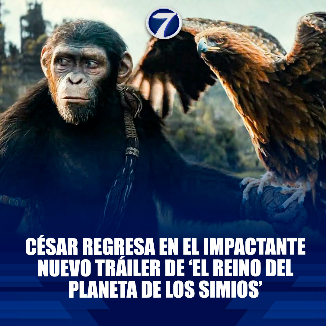 Planeta Delos Simios Memes