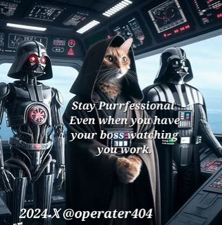 Grumpy Cat Meme Darth Vader