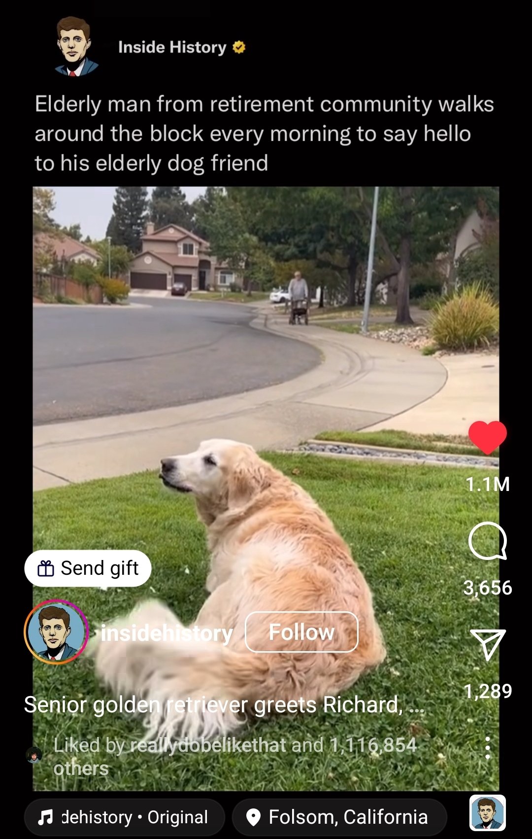 Hello This Is Dog Original