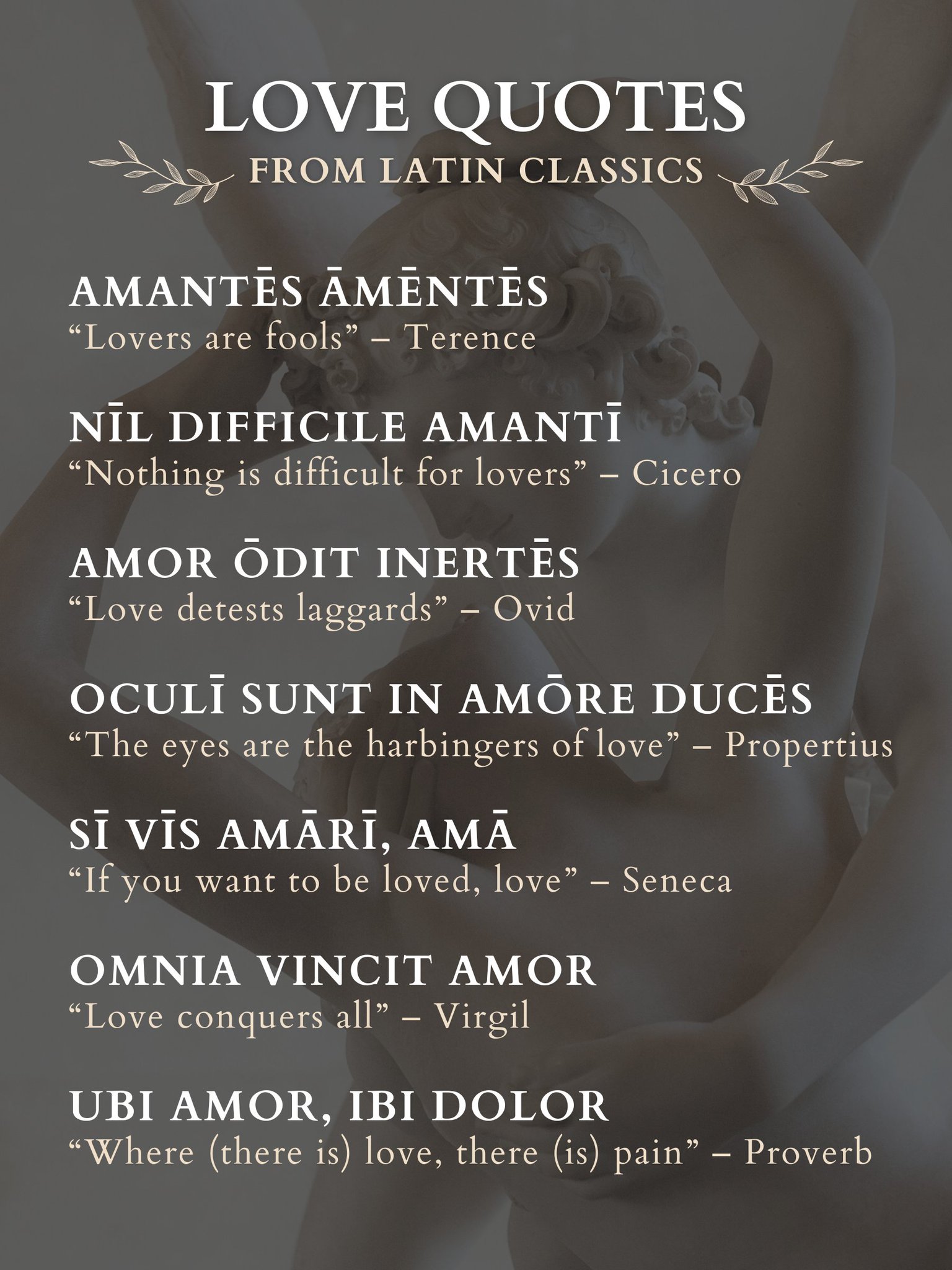 Latin Love Quotes And Meanings 65 Latin Phrases And Sayings (With