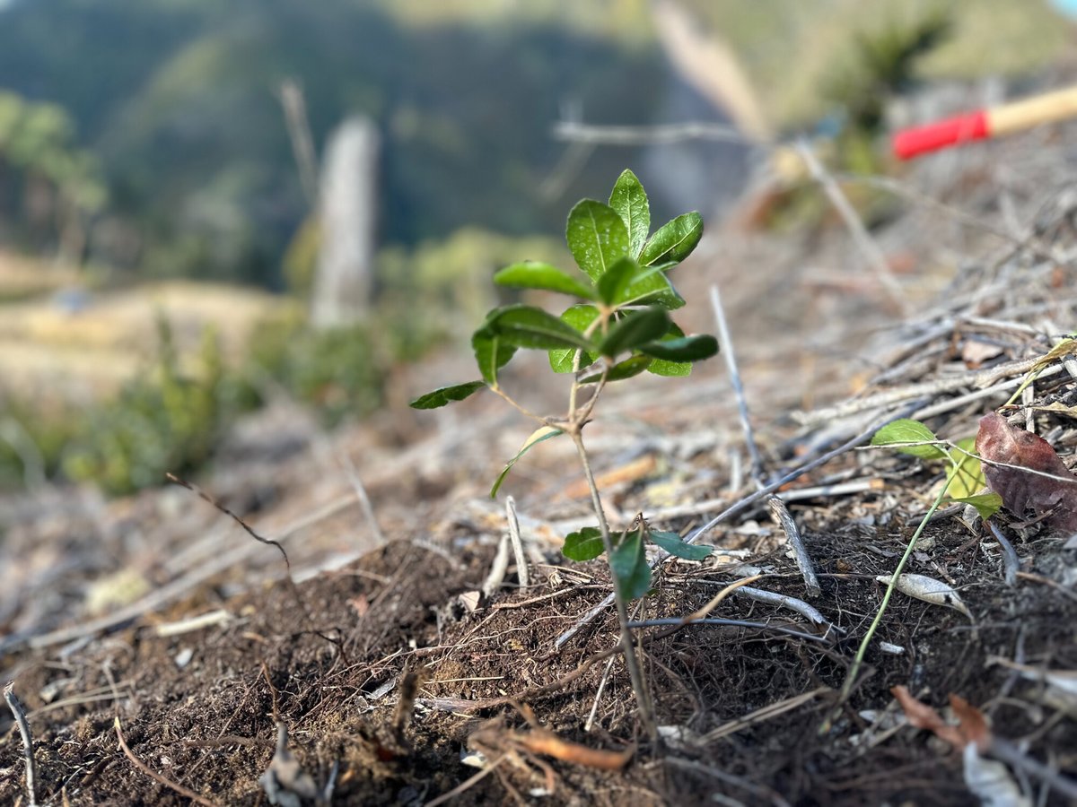 100BANCH@未来をつくる実験区(@100BANCH) - Twilog