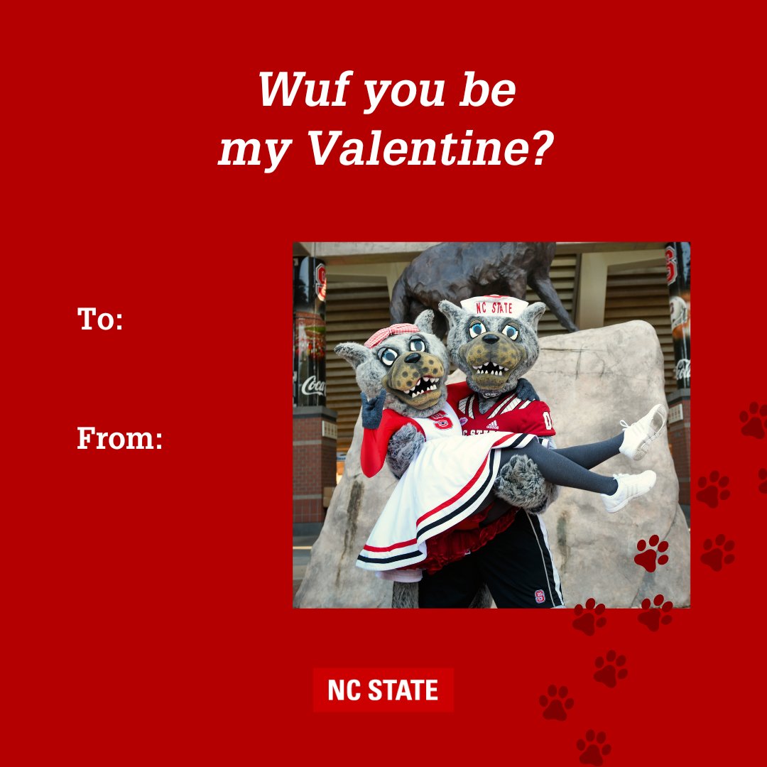 Nc State Funny Quotes 56 Wolfpack Ideas | Nc State, Nc State Wolfpack,
