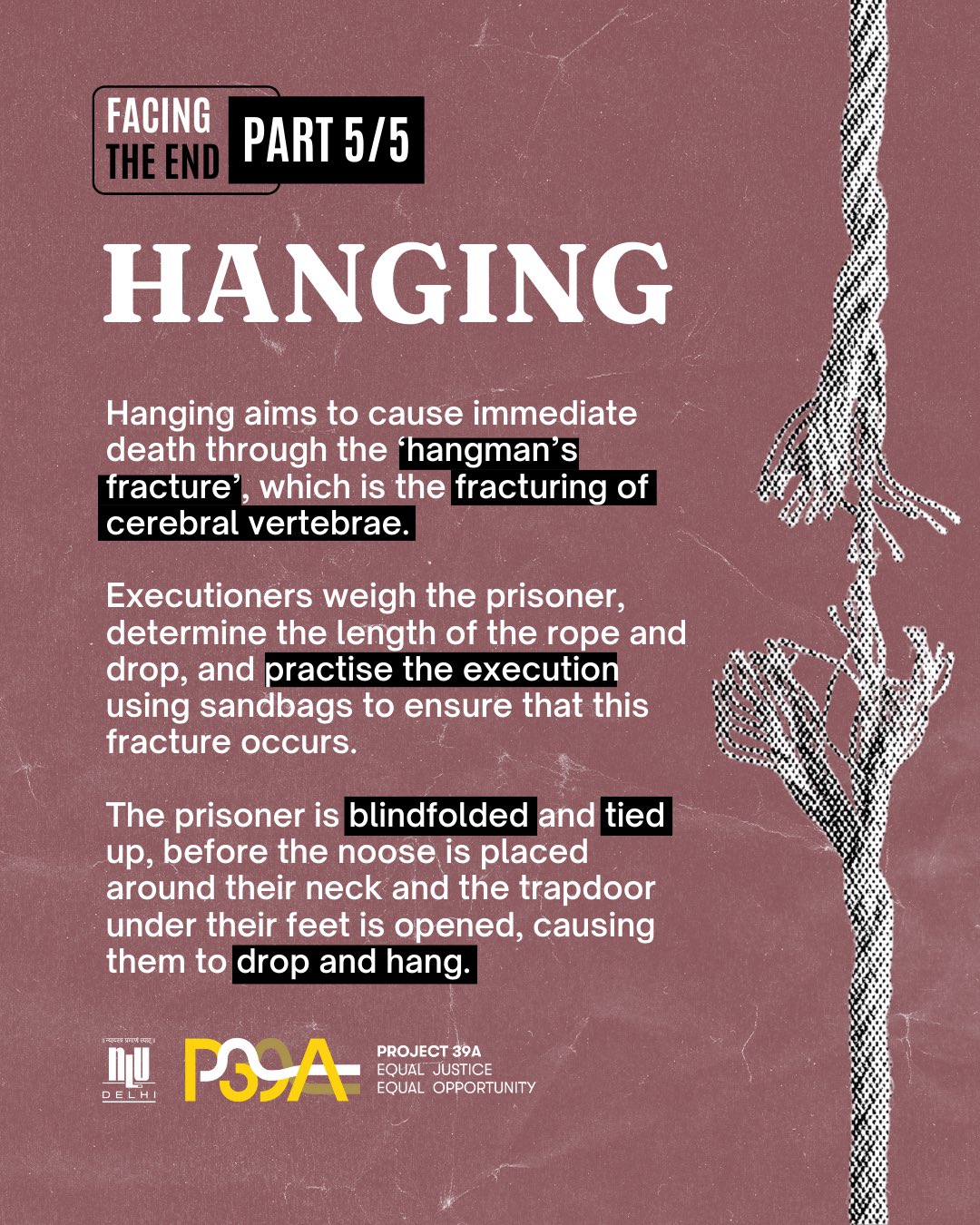 Hanging Execution Noose