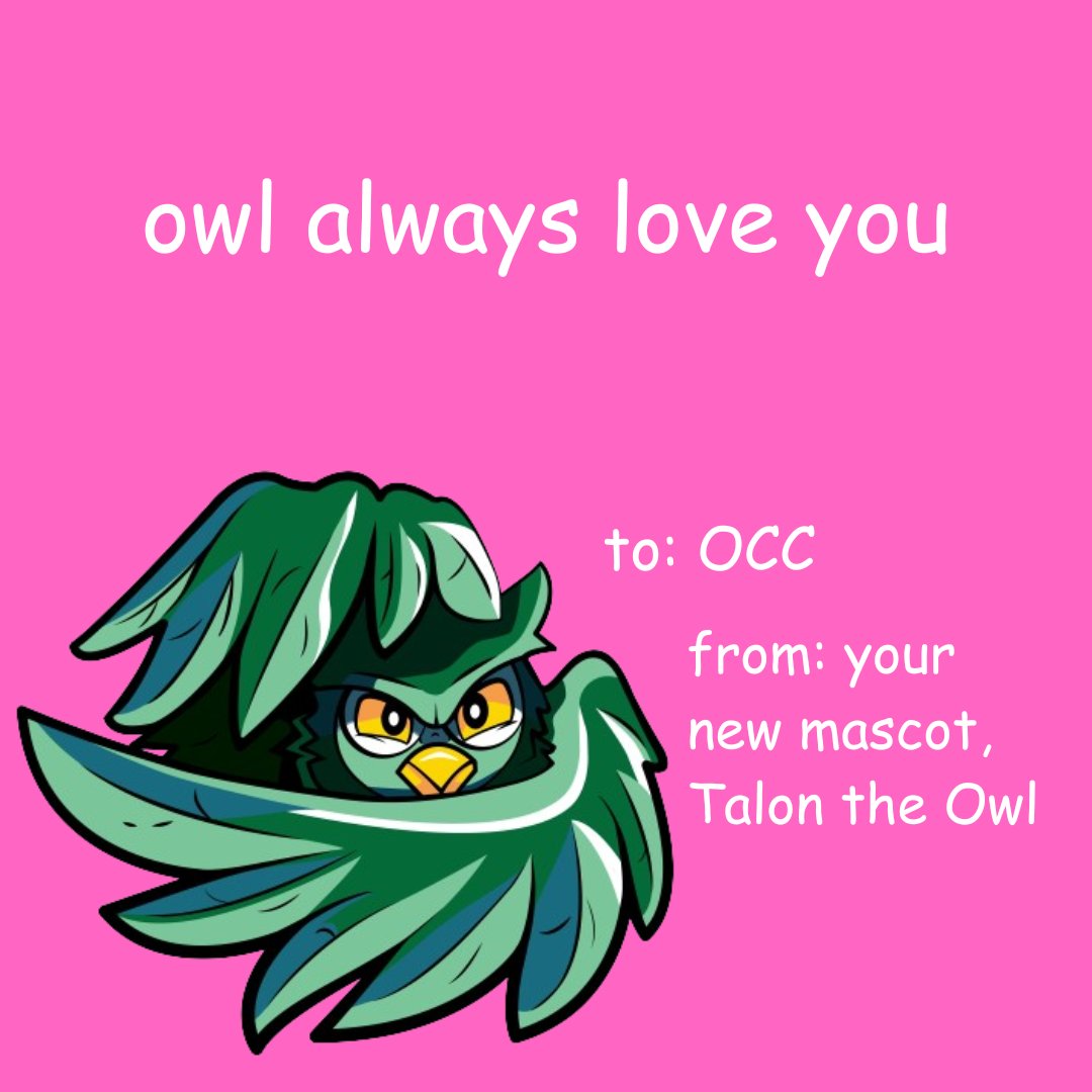 Owl Love Meme