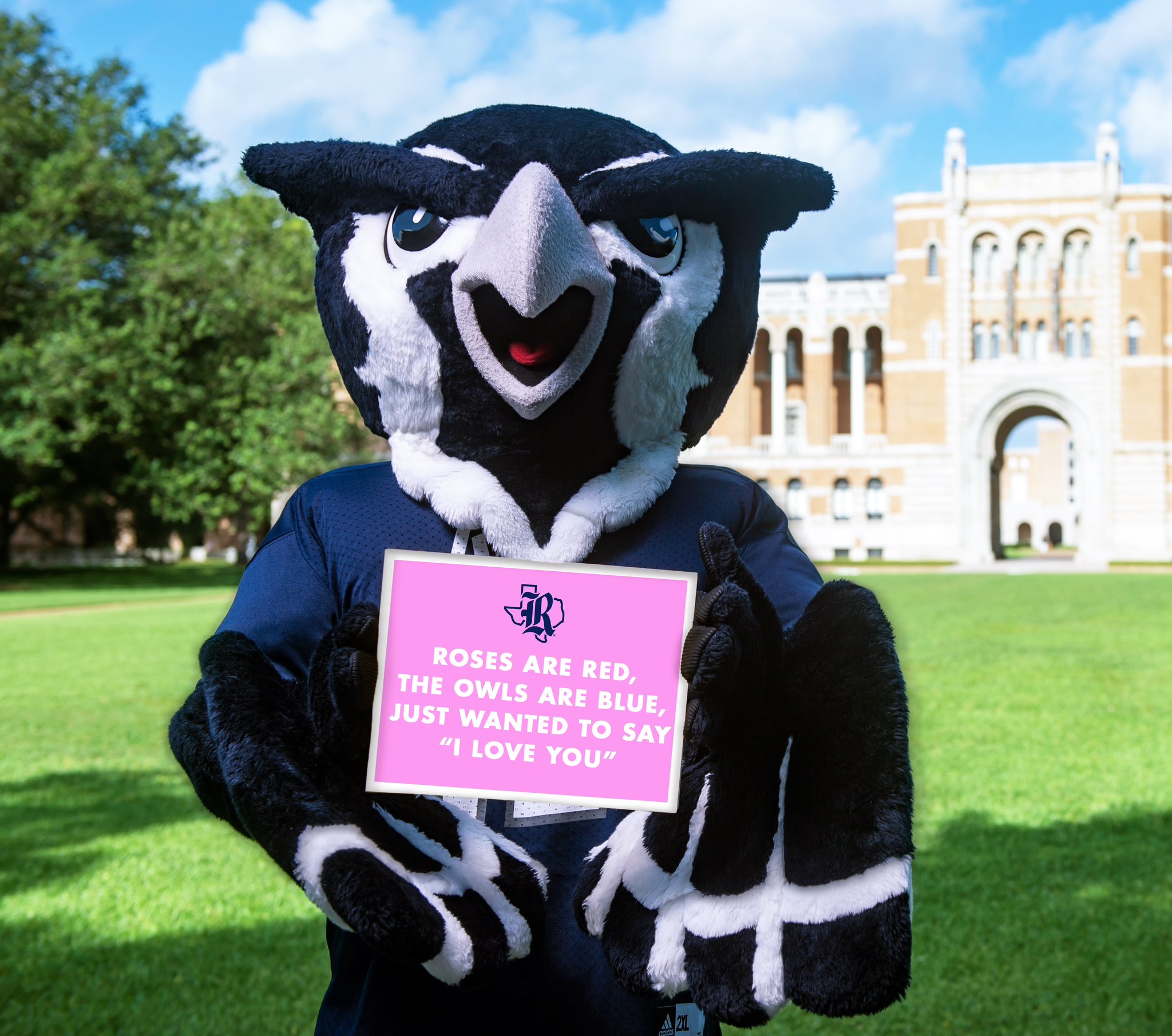 Rice University Mascot The Rice Owls Have A New Logo, And It's Pretty