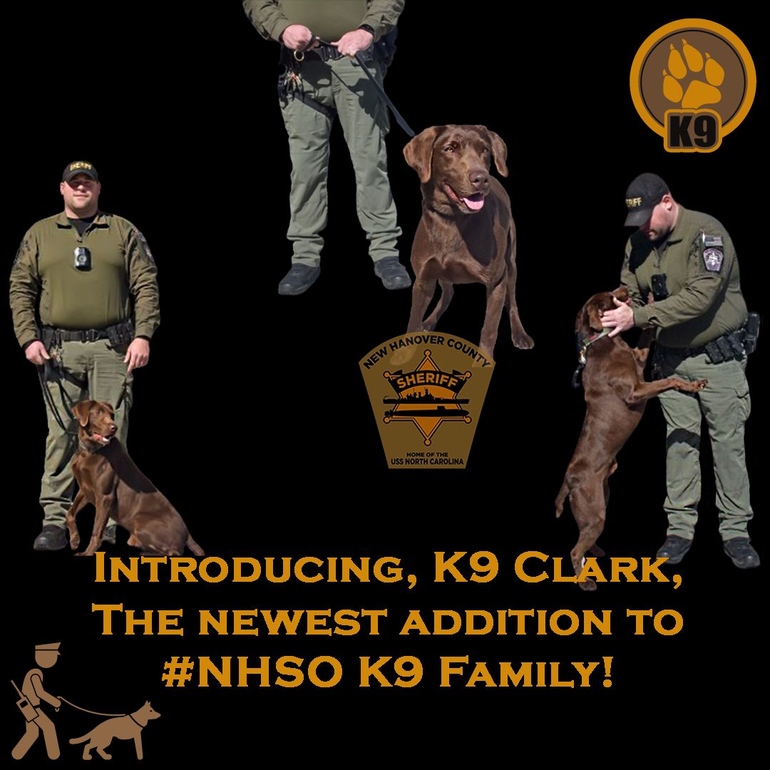 New Hanover Sheriff on X: 🐾 Introducing #NHSO's newest addition to the K9 Unit, K9 Clark! 🐶🎉 He ...