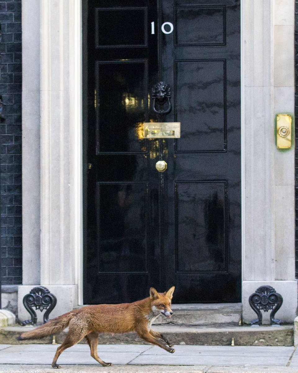 Eran Efrat's Threads – Thread Reader App