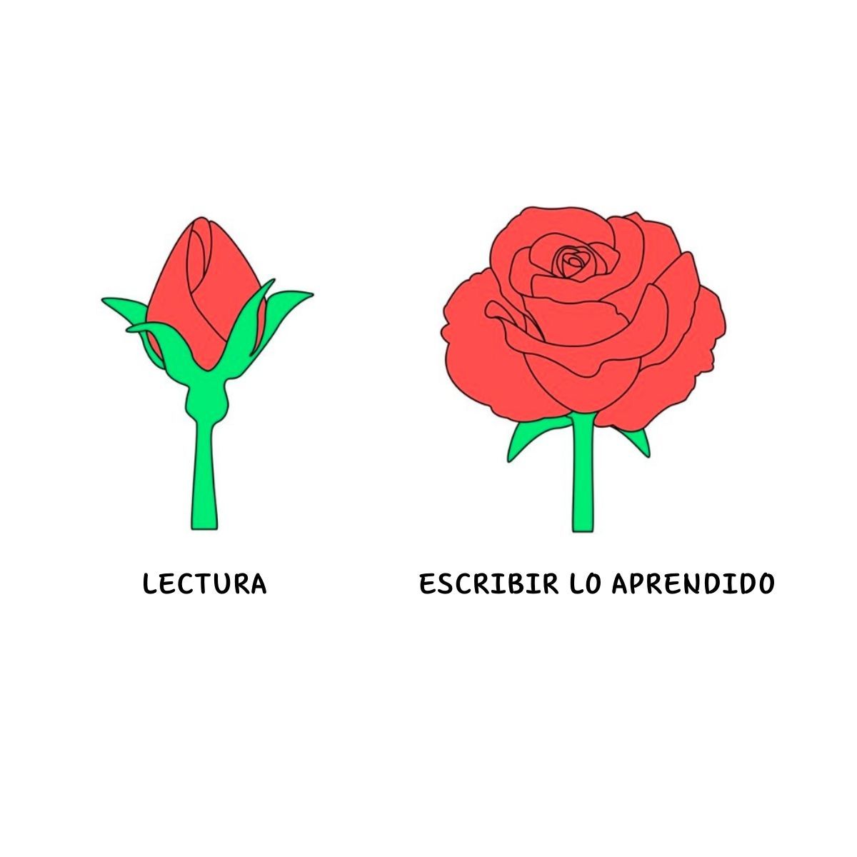 Thread by @Fran_actua on Thread Reader App – Thread Reader App