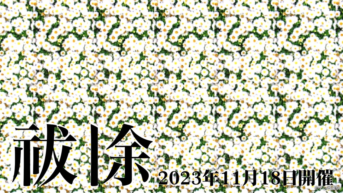 KONDO Mitsuhiro 近藤光博(@mittsko) - Twilog (ツイログ)