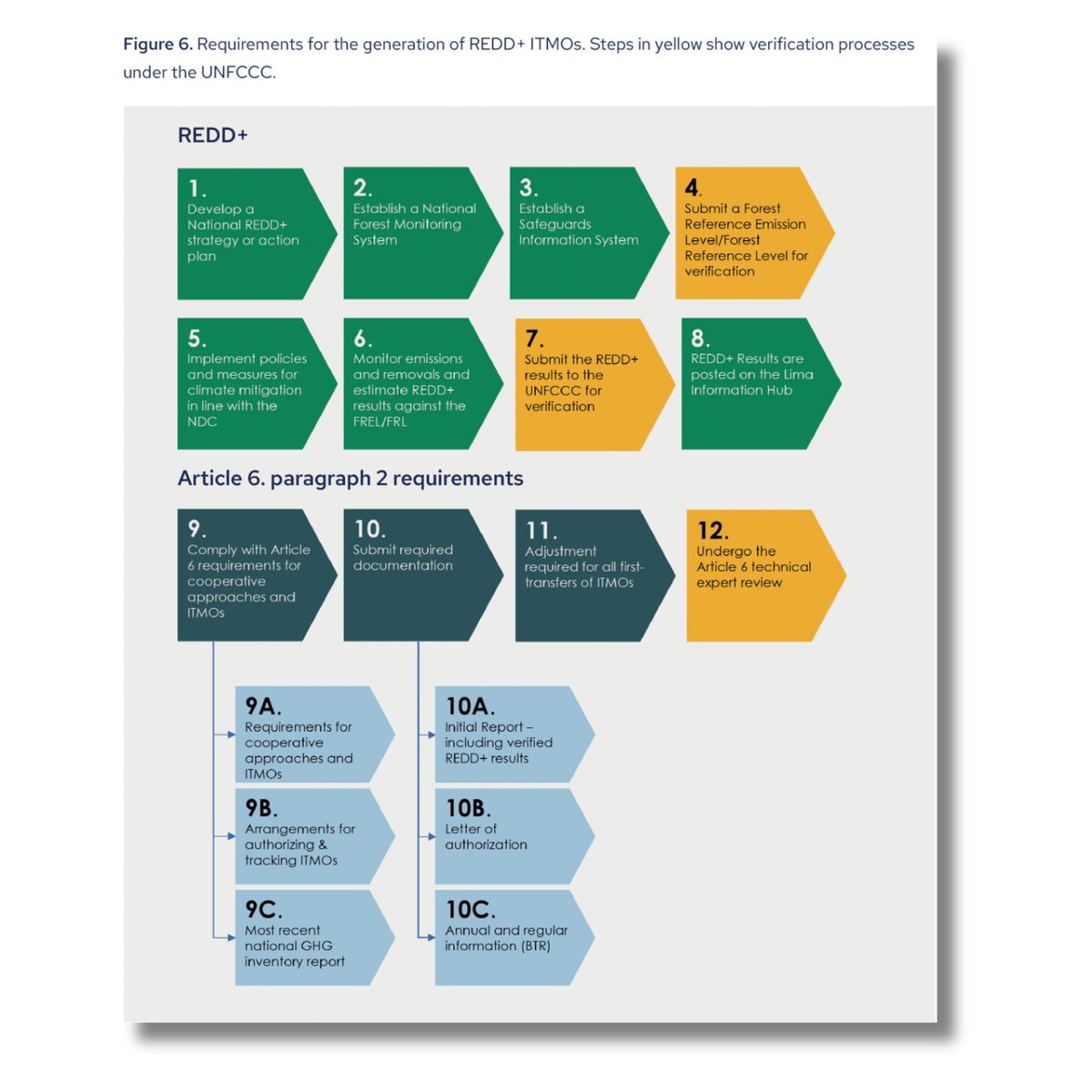 CfRN COP27 2022 - Coalition for Rainforest Nations