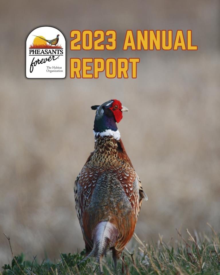Pheasants Forever Wallpaper