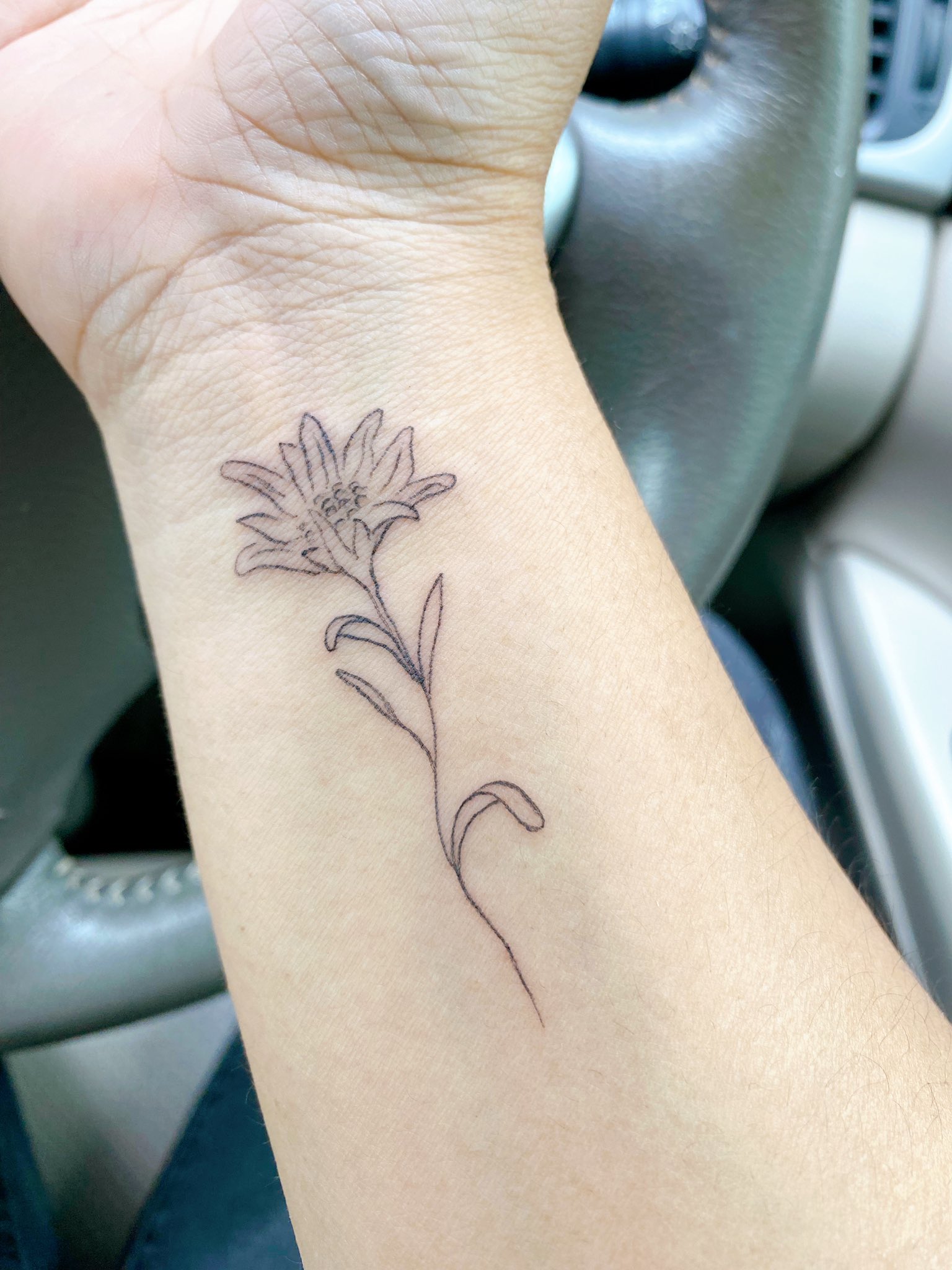 Edelweiss Tattoo Edelweiss Tattoo Edelweiss Flower