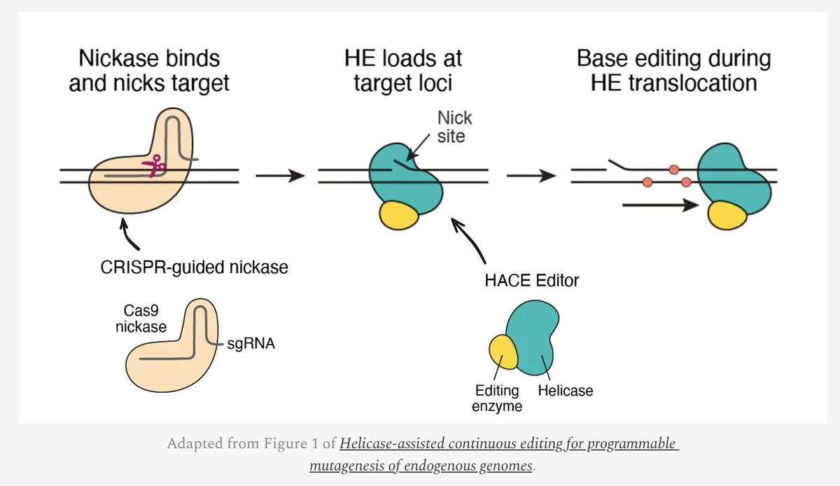 In the past few weeks, there's been an explosion of new tools for ...