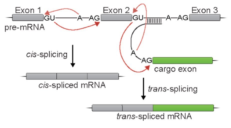 In the past few weeks, there's been an explosion of new tools for ...