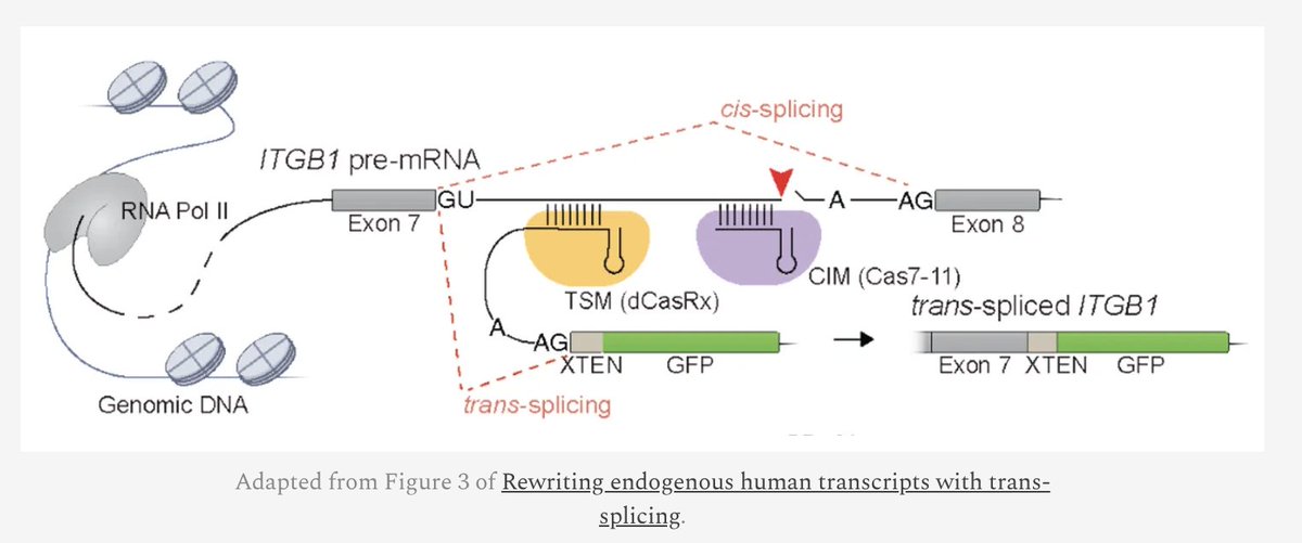 In the past few weeks, there's been an explosion of new tools for ...