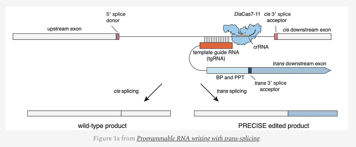 In the past few weeks, there's been an explosion of new tools for ...