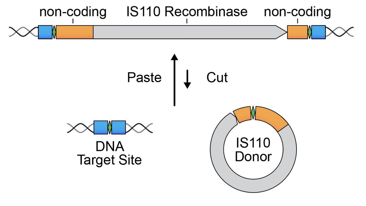 In the past few weeks, there's been an explosion of new tools for ...