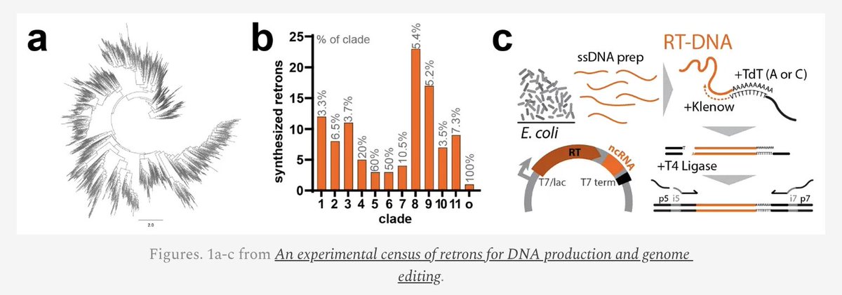 In the past few weeks, there's been an explosion of new tools for ...