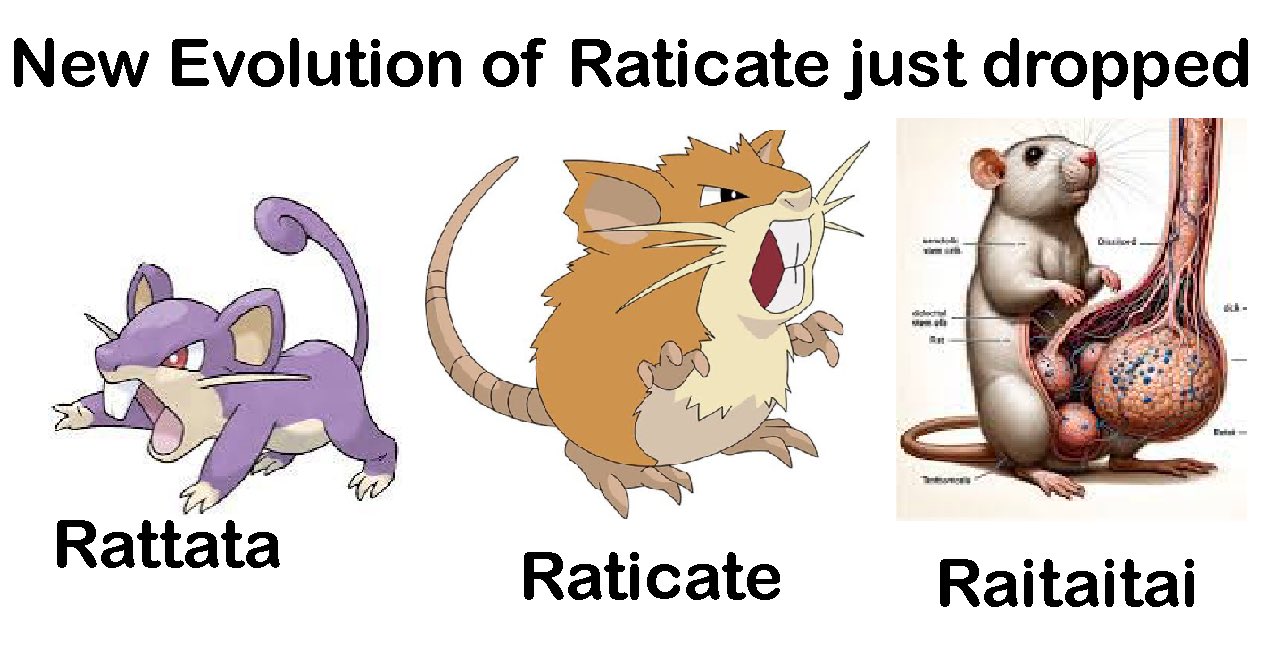 Raticate Evolution Chart